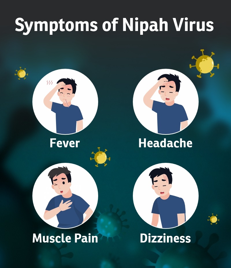Nipah Virus: A Comprehensive Overview - The Health Hub